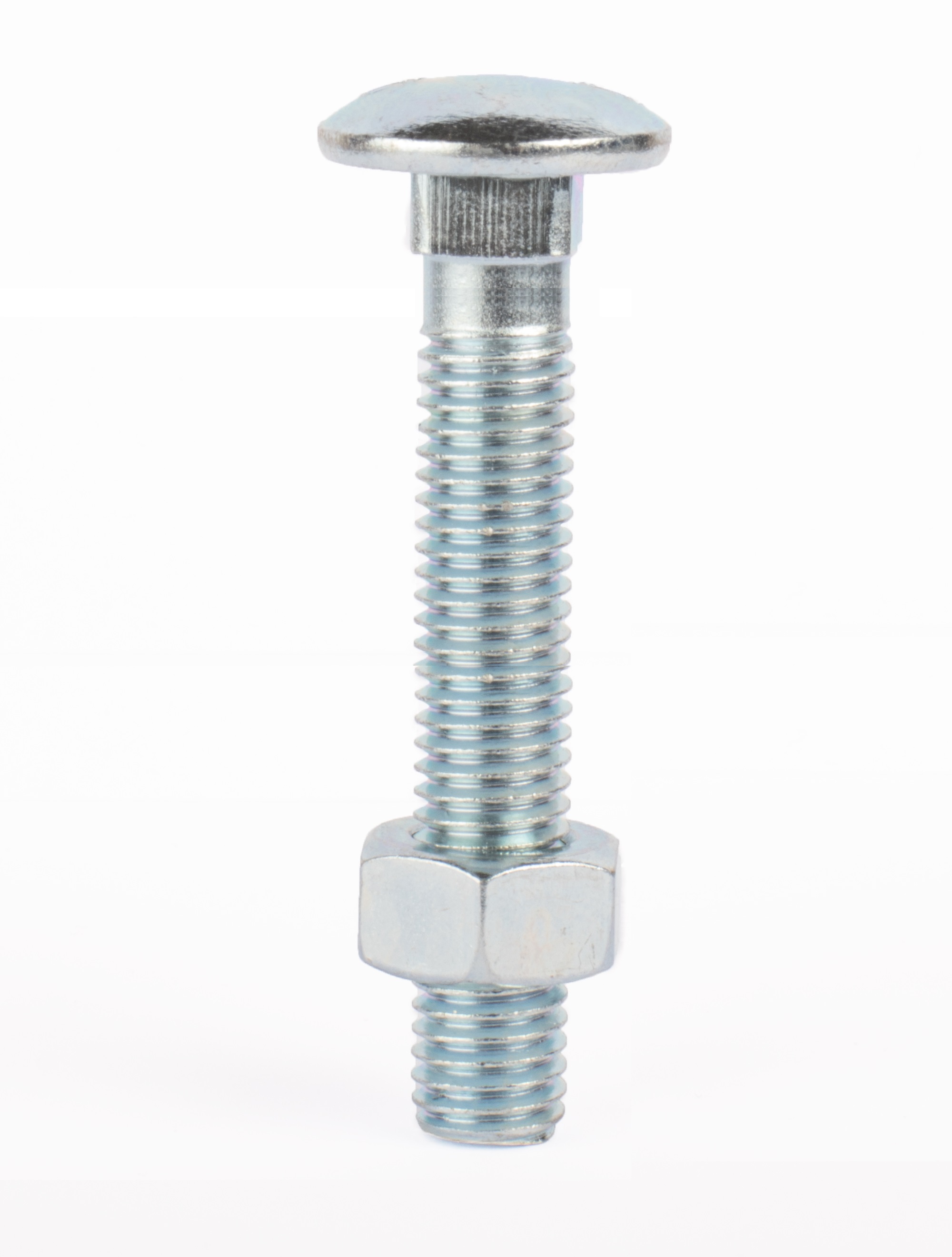 Timber: M10x75mm Cup Head Bolt & Nut